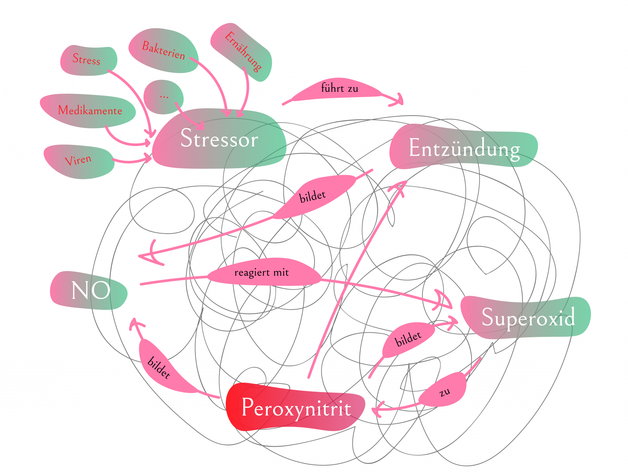 Der ONOO-Zyklus - wirbelwirrwarr