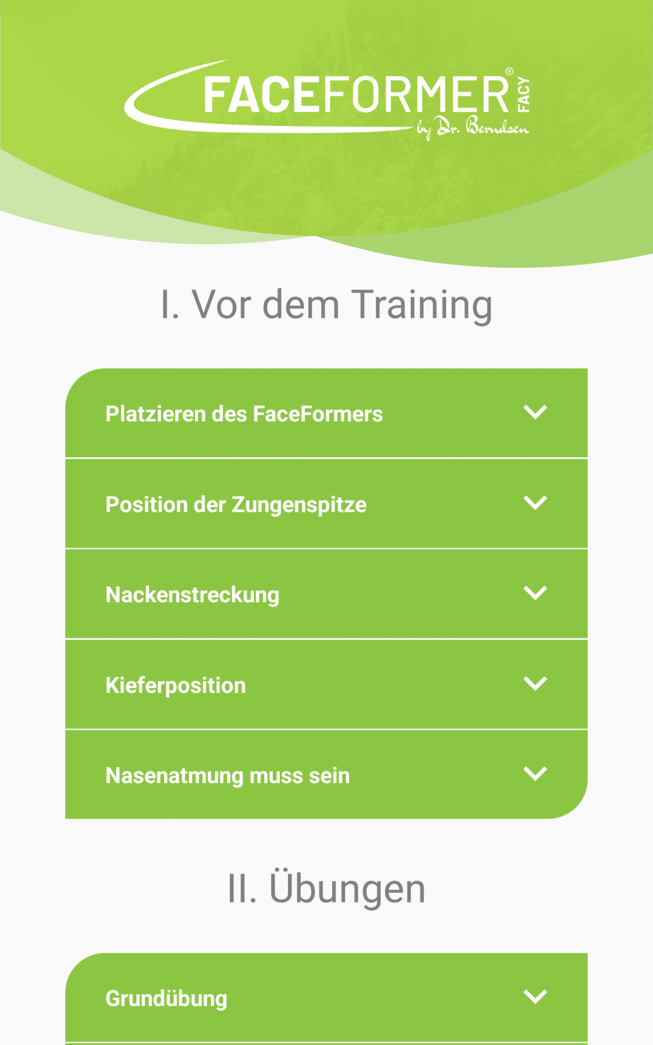 Update: FaceFormer - wirbelwirrwarr